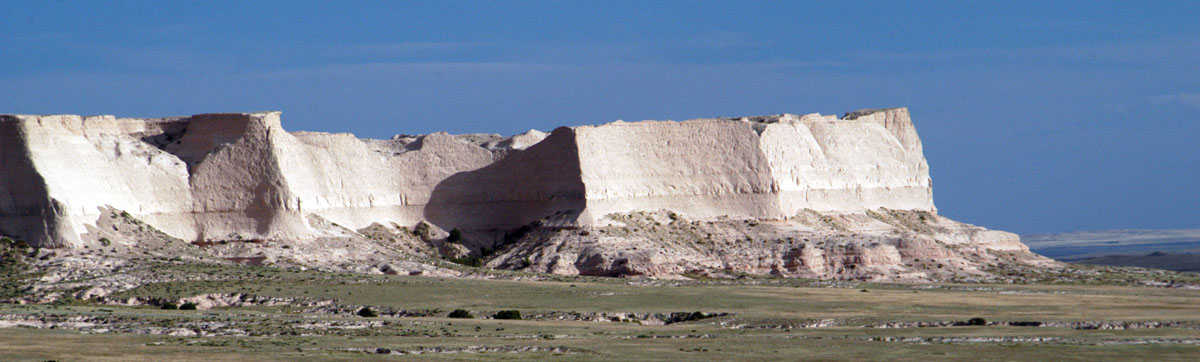 Hembree Lab | The University of Tennessee, Knoxville